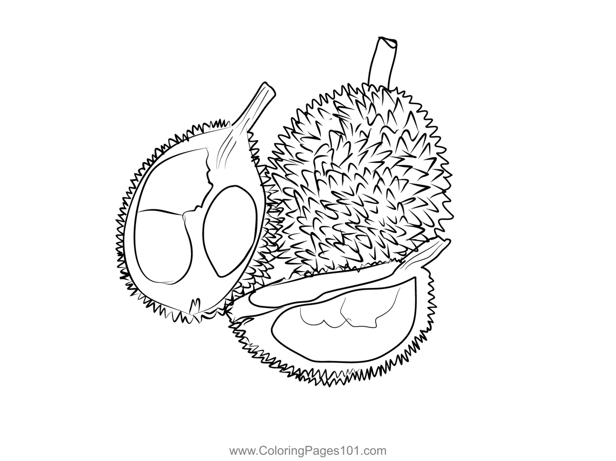 Durian 2 Coloring Page for Kids - Free Durian Printable Coloring Pages ...