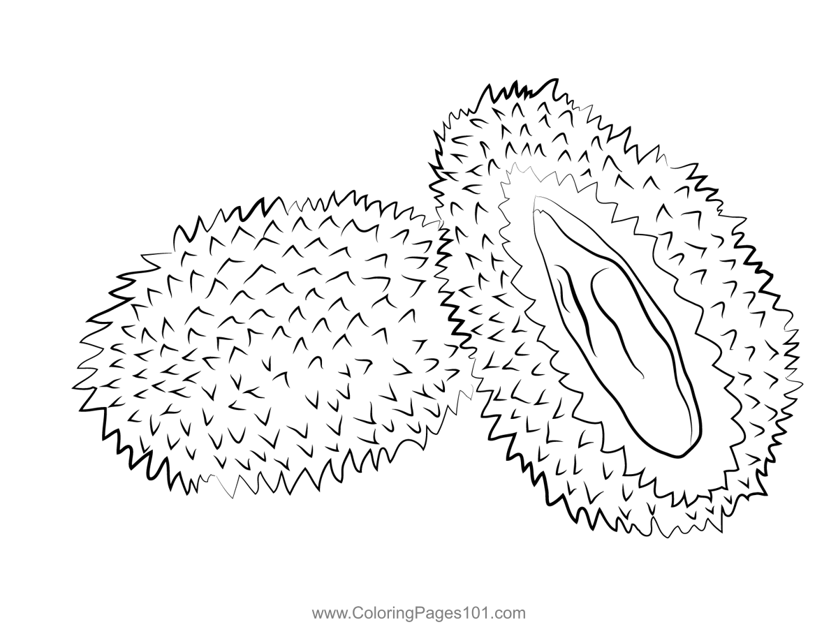 Durian Chanee Coloring Page for Kids - Free Durian Printable Coloring ...