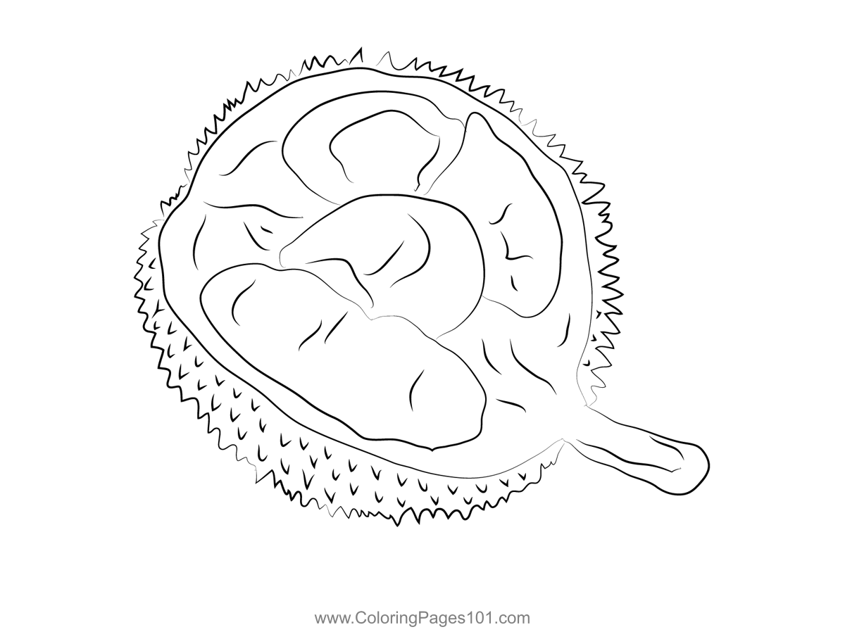 Durian In Singapore Coloring Page for Kids - Free Durian Printable ...