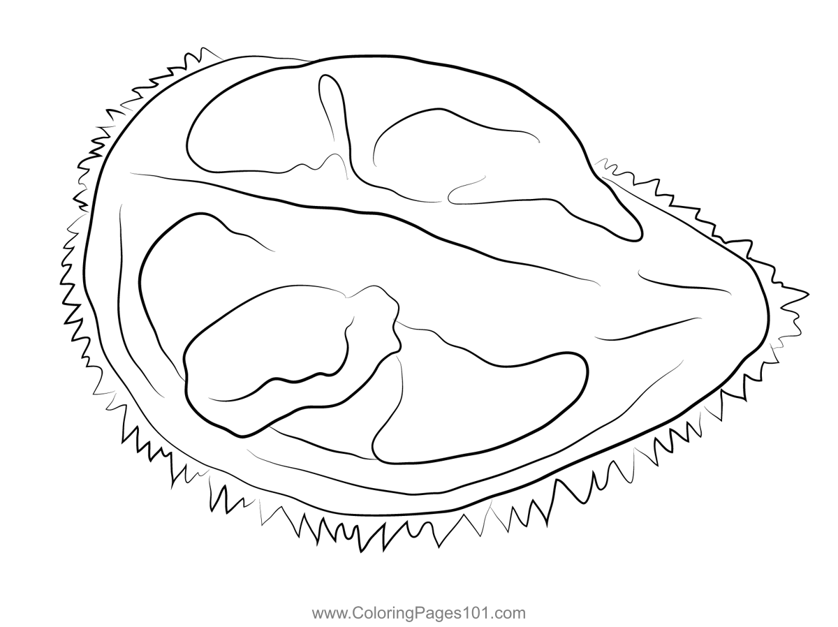 Durian Pulp Coloring Page for Kids - Free Durian Printable Coloring ...