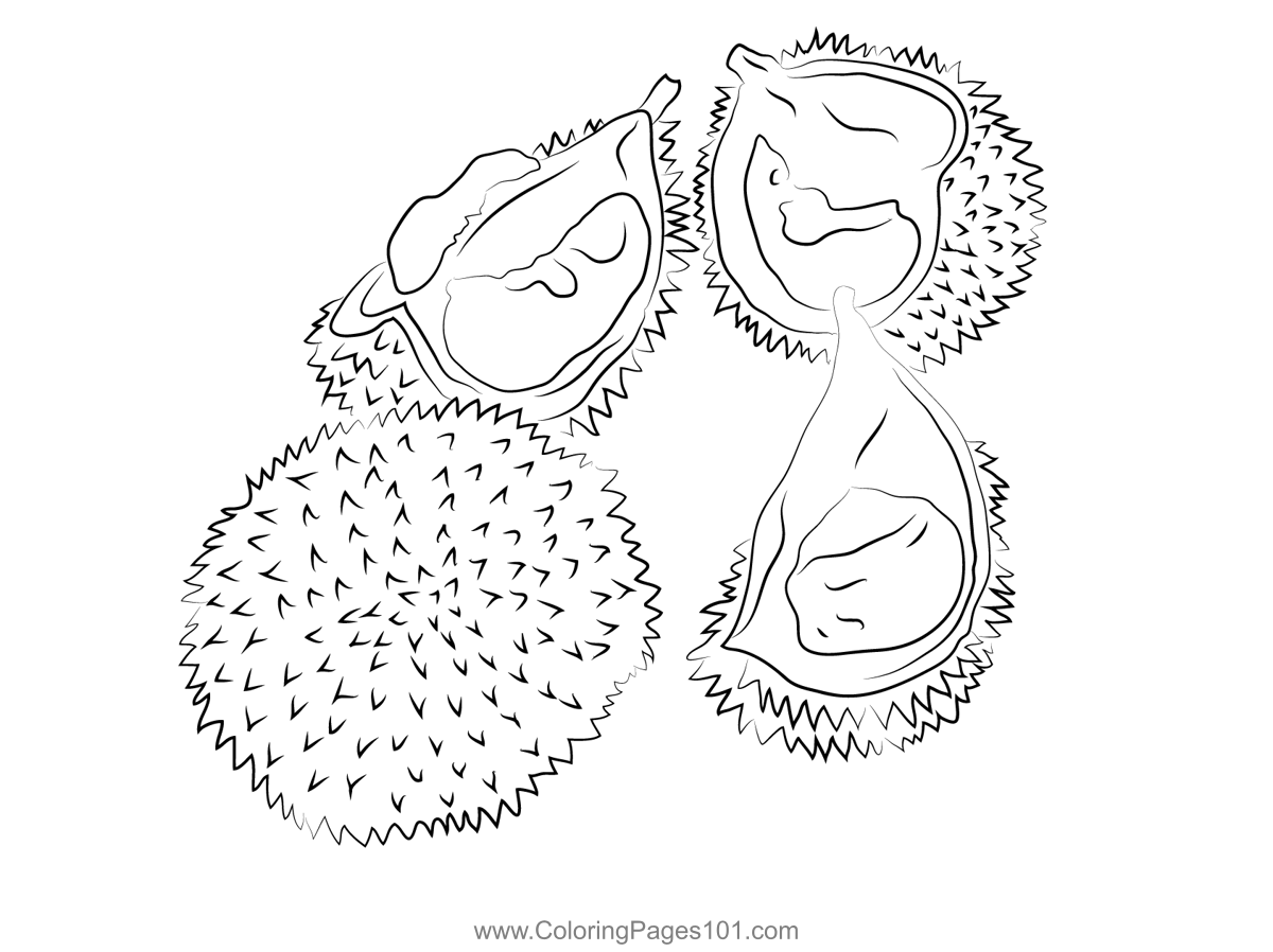 Red Durian Coloring Page for Kids - Free Durian Printable Coloring ...