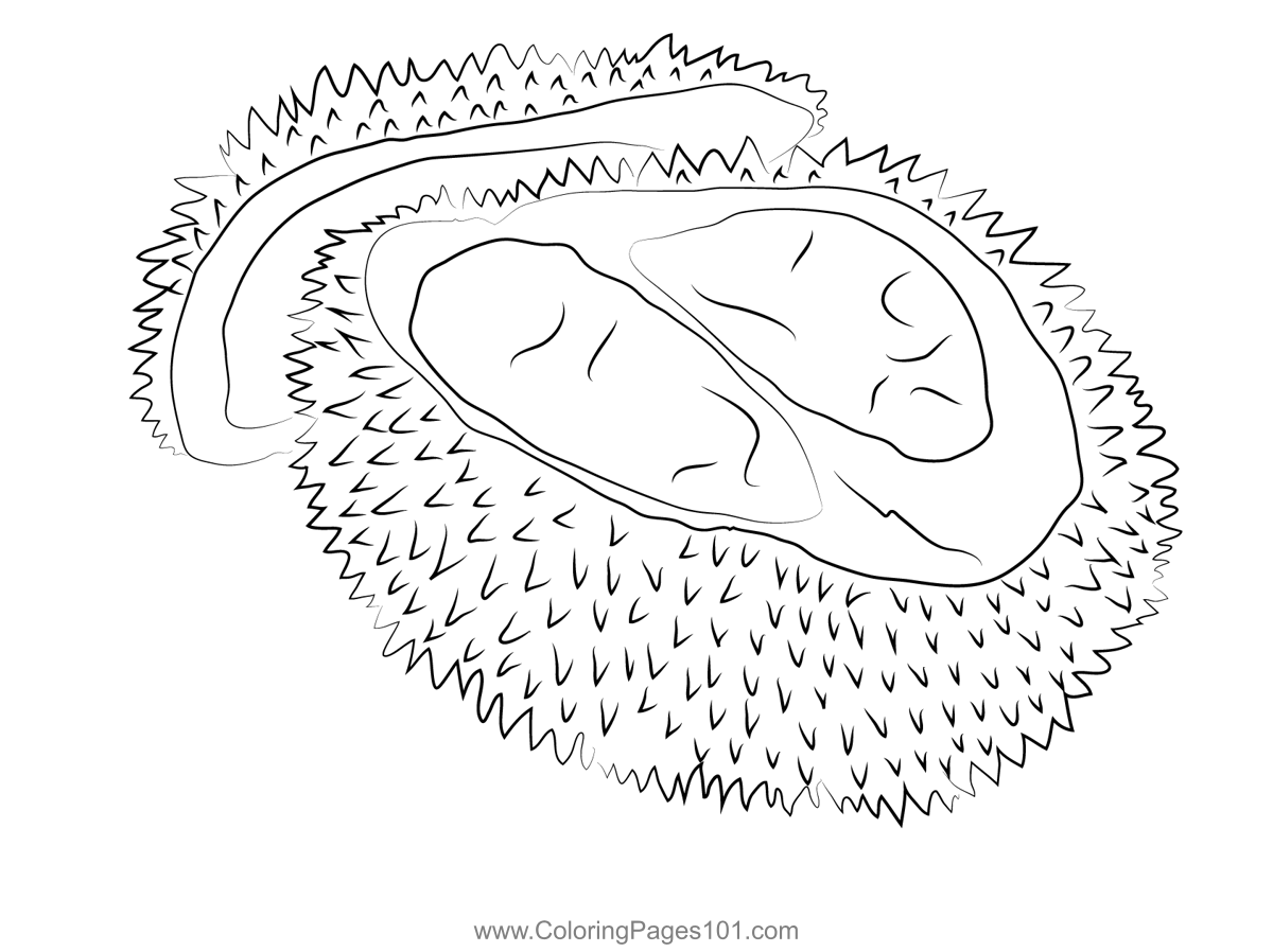 Singapore Durian Coloring Page for Kids - Free Durian Printable ...