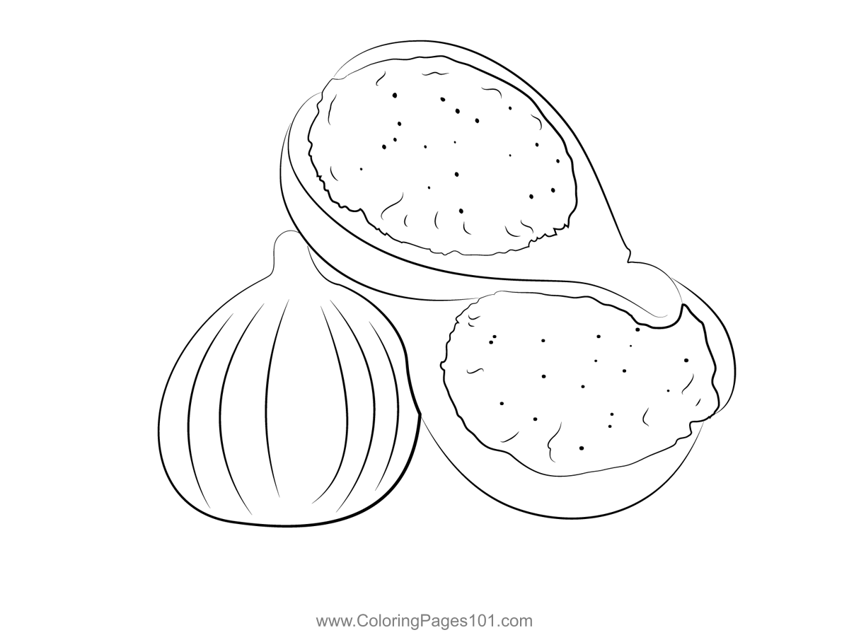 Figs Bernard Jaubert Coloring Page for Kids - Free Fig Printable ...