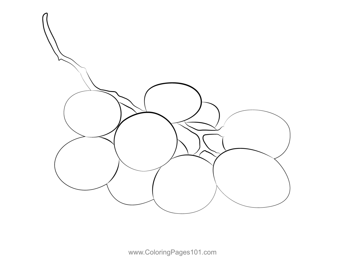 Grape Printable Grapes Coloring Pages Templates Fruit Firstpalette ...