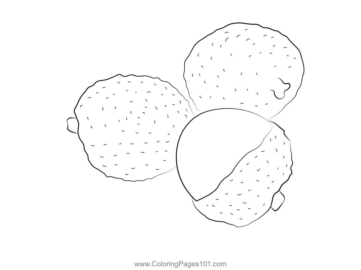 Fruit Lychee Coloring Page for Kids - Free Lychee Printable Coloring ...