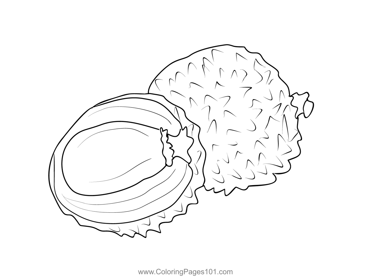 Lychee 1 Coloring Page for Kids - Free Lychee Printable Coloring Pages ...