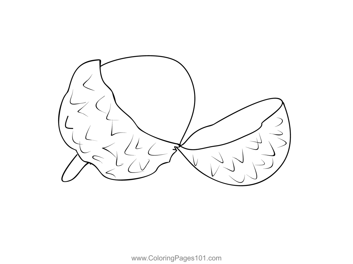 Lychee 2 Coloring Page for Kids - Free Lychee Printable Coloring Pages ...