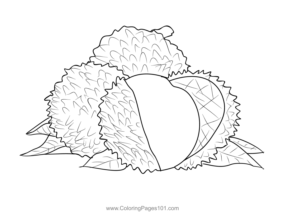 Lychee 3 Coloring Page for Kids - Free Lychee Printable Coloring Pages ...