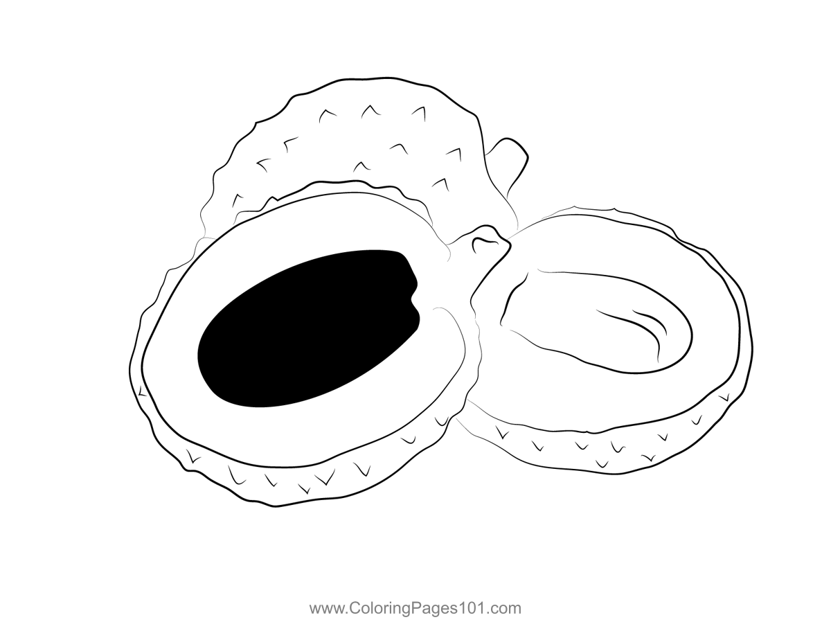Lychee Cut And See Coloring Page for Kids - Free Lychee Printable ...