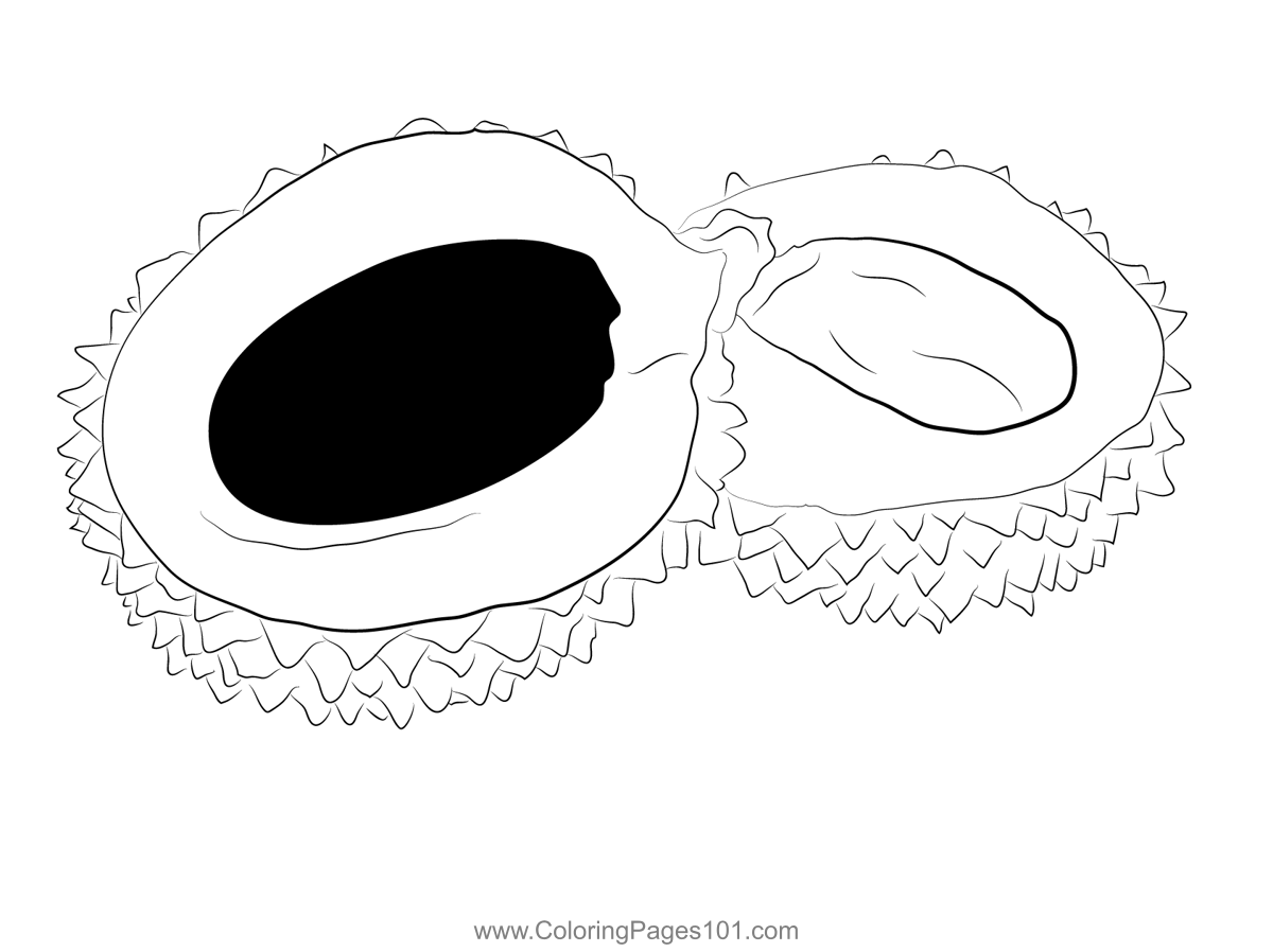 Lychee Cut Coloring Page for Kids - Free Lychee Printable Coloring ...