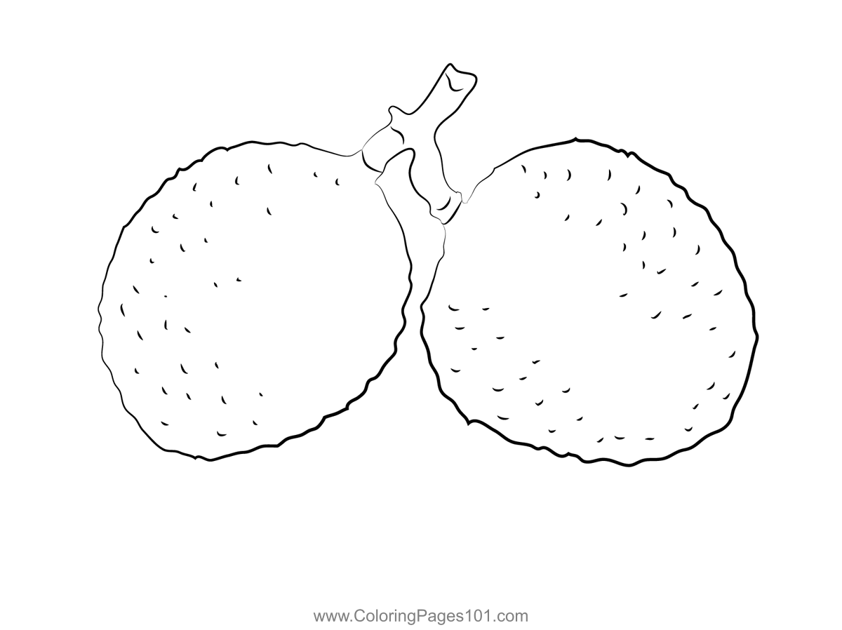 Lychee Coloring Page for Kids - Free Lychee Printable Coloring Pages ...
