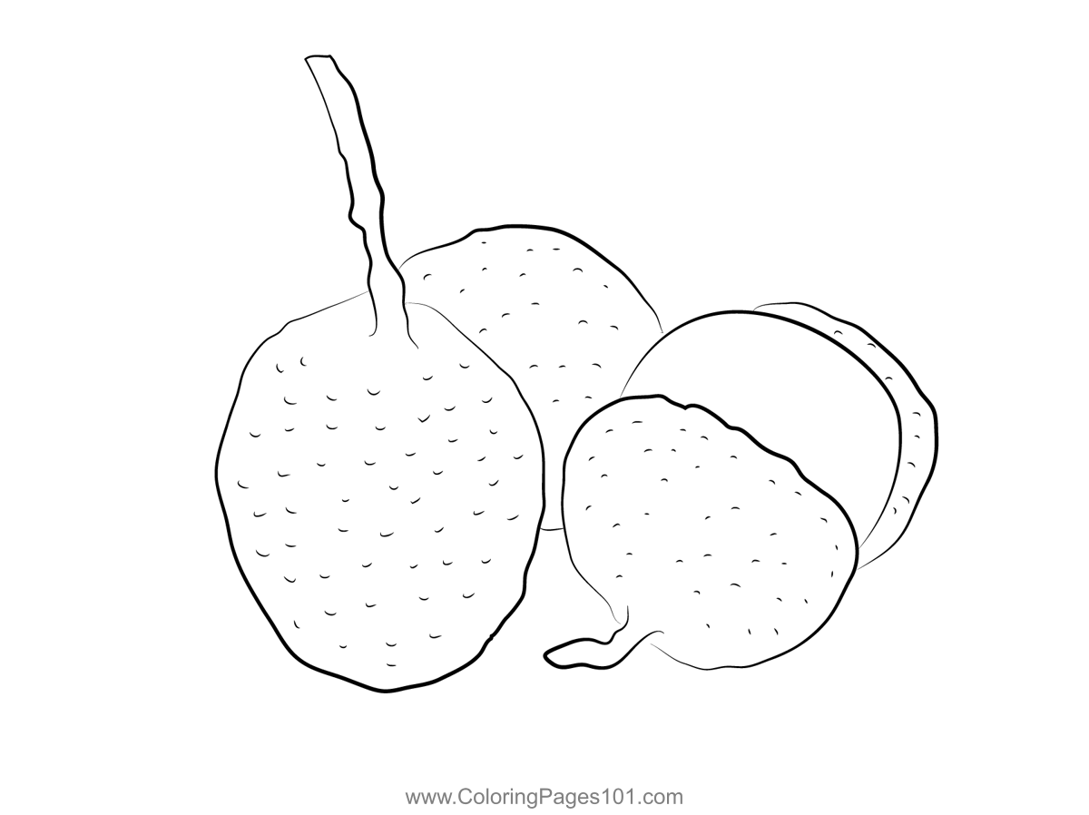Red Lychee Coloring Page for Kids - Free Lychee Printable Coloring ...