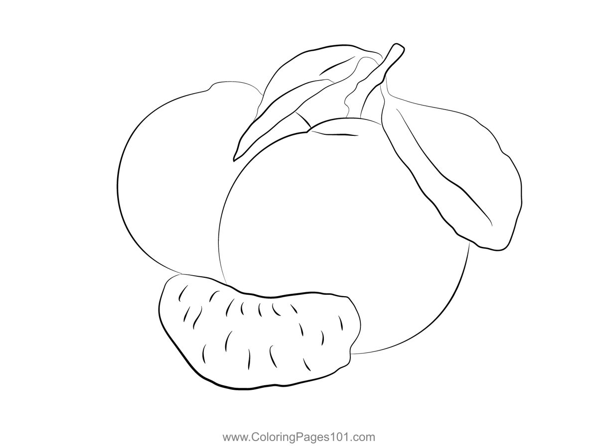 Mandarin Orange At Look Coloring Page for Kids - Free Mandarin Orange ...