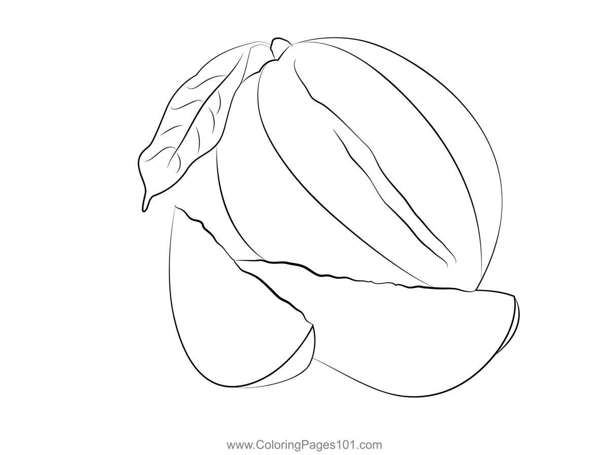 Bigstock Mango With Its Sections Coloring Page for Kids - Free Mango ...