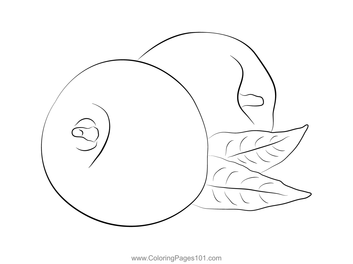 Nectarine Coloring Pages Categories Cut Sketch Coloring Page