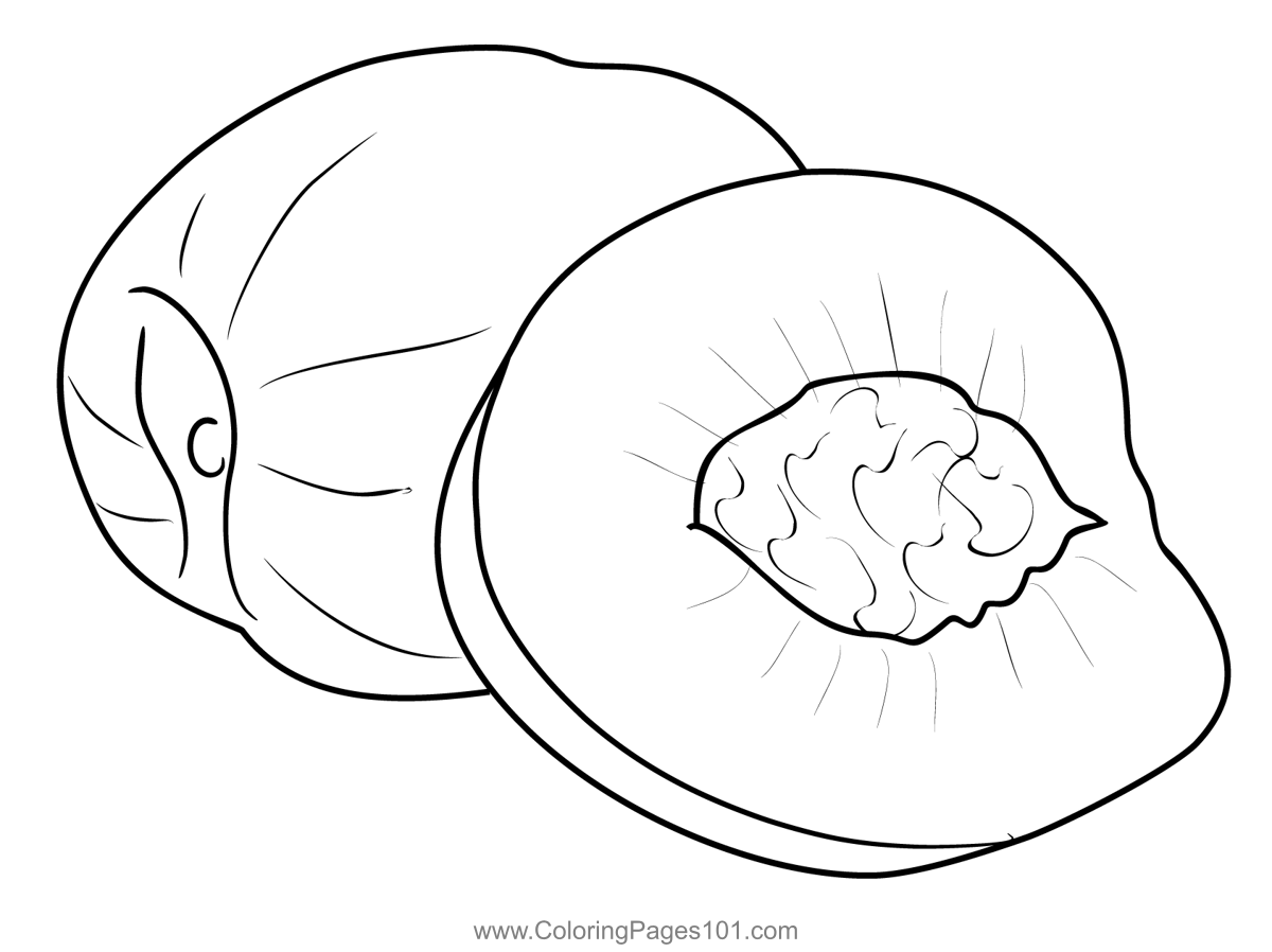 Nectarine 1 Coloring Page for Kids - Free Nectarine Printable Coloring ...