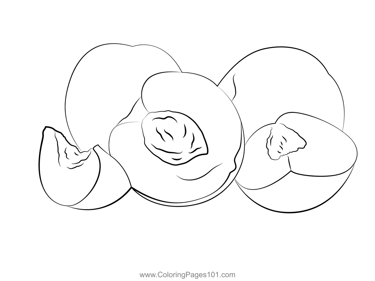 Nectarine Group Coloring Page for Kids - Free Nectarine Printable ...