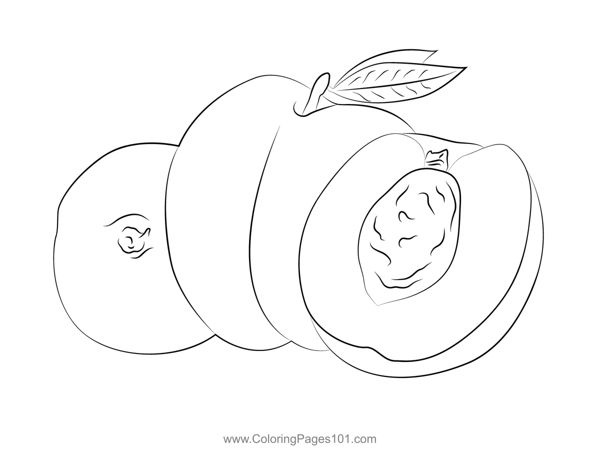 Nectarine Coloring Pages Categories Cut Sketch Coloring Page
