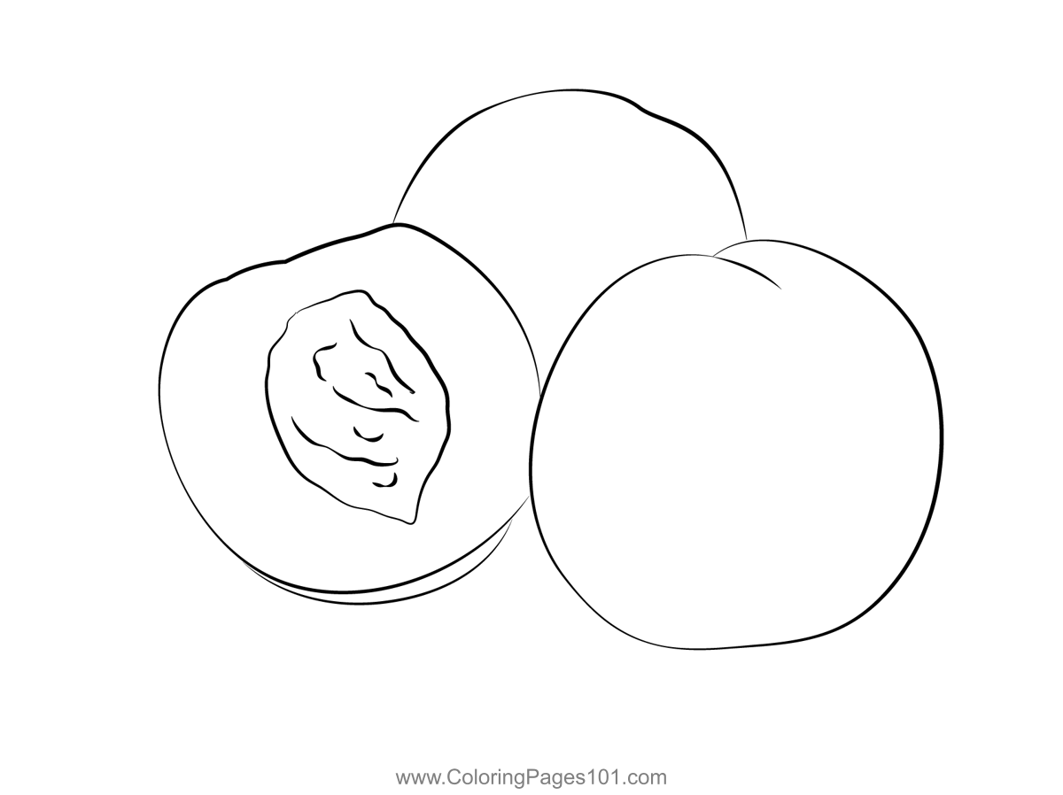 Pesca Noce Coloring Page for Kids - Free Nectarine Printable Coloring ...