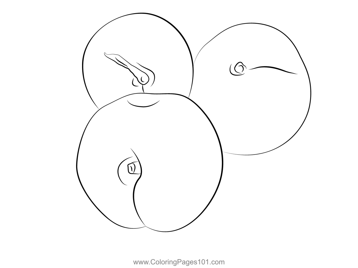 Red Nectarine Coloring Page for Kids - Free Nectarine Printable ...
