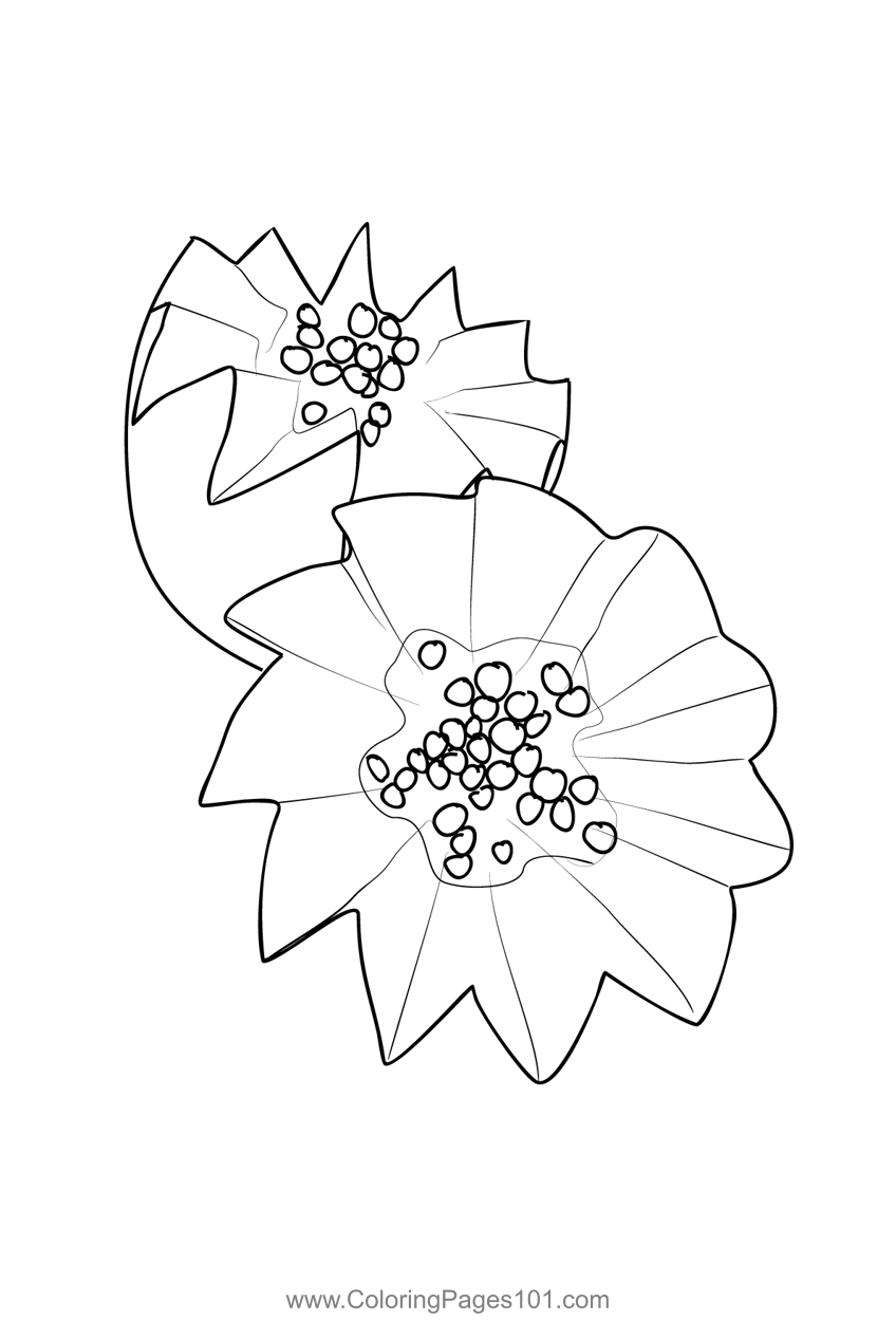 Papayas 2 Coloring Page for Kids - Free Papaya Printable Coloring Pages ...