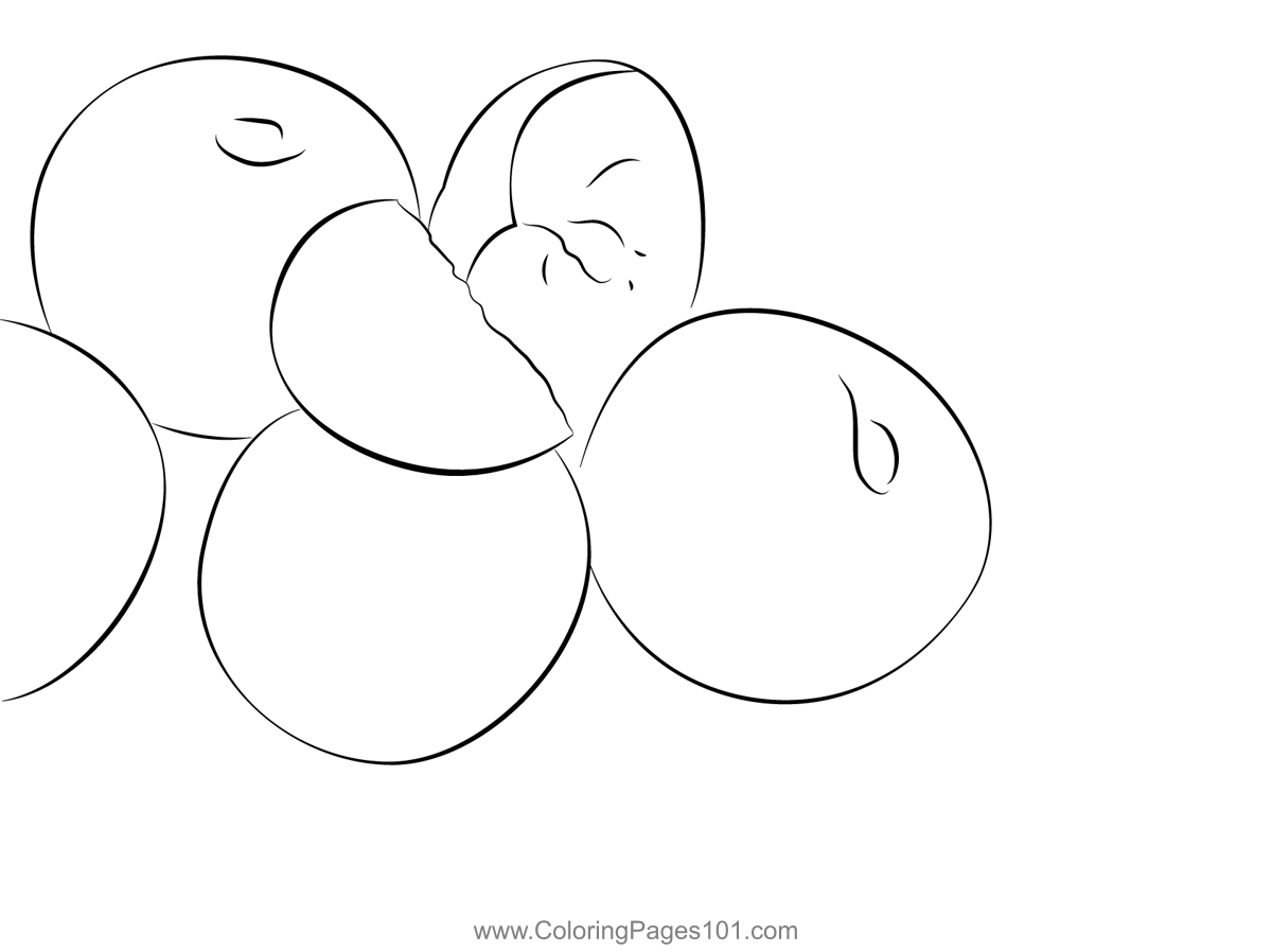 Sugar Plums Coloring Page for Kids - Free Plum Printable Coloring Pages ...