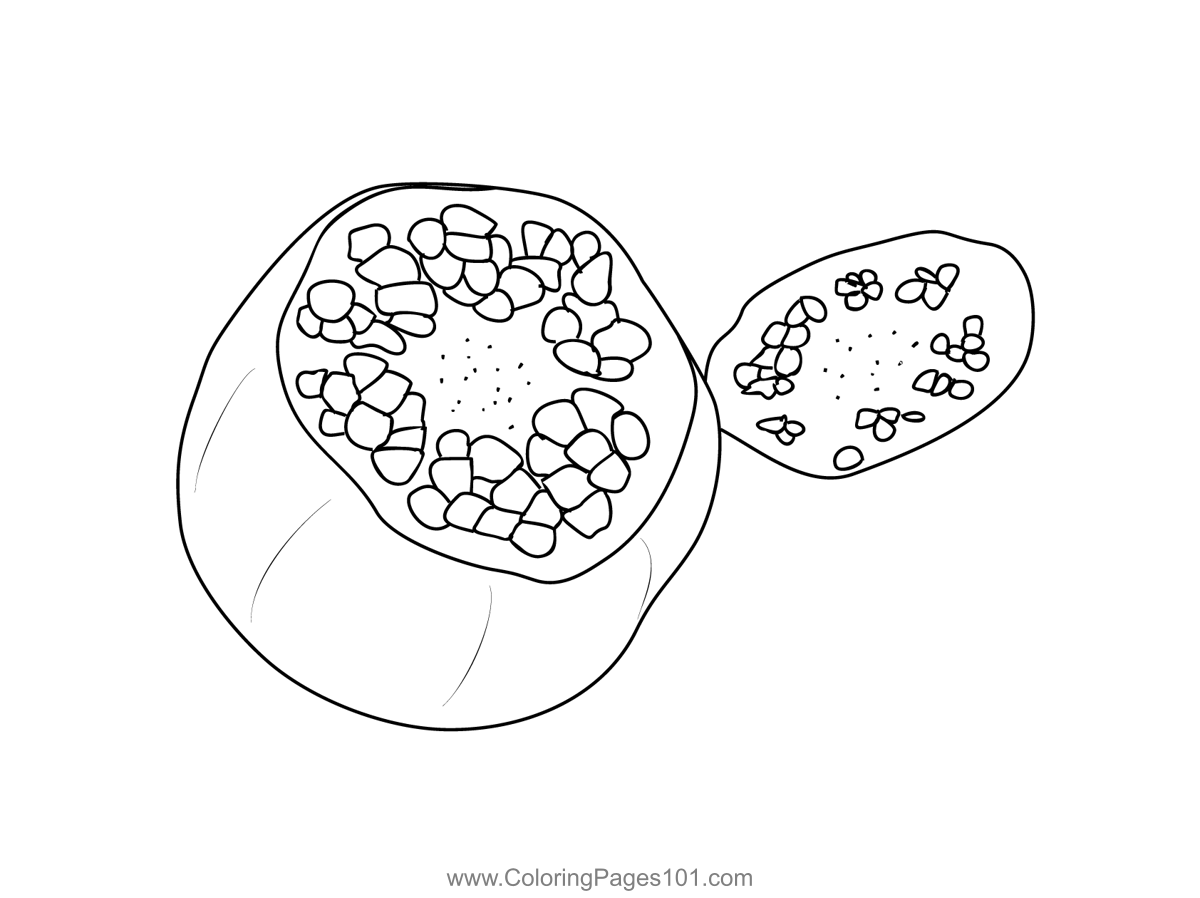 Pomegranate 2 Coloring Page for Kids - Free Pomegranate Printable ...