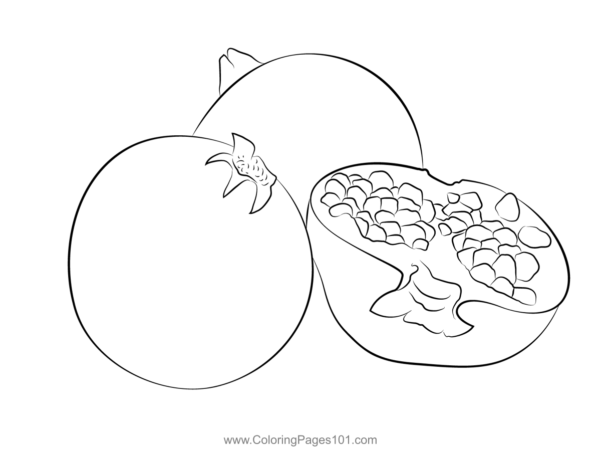 Pomegranate Fruit Coloring Page for Kids - Free Pomegranate Printable ...