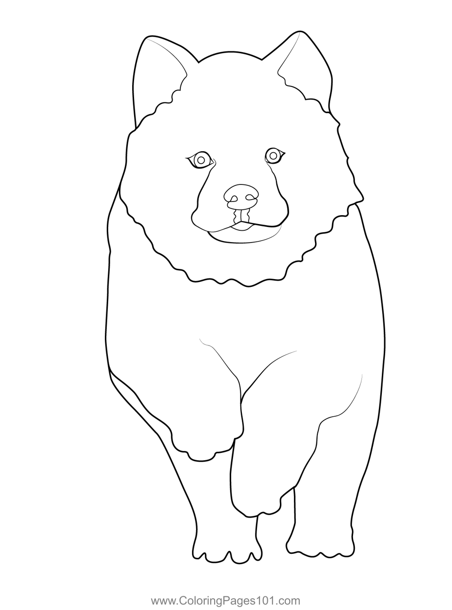 Running Puppy Coloring Page for Kids - Free Dog Printable Coloring ...