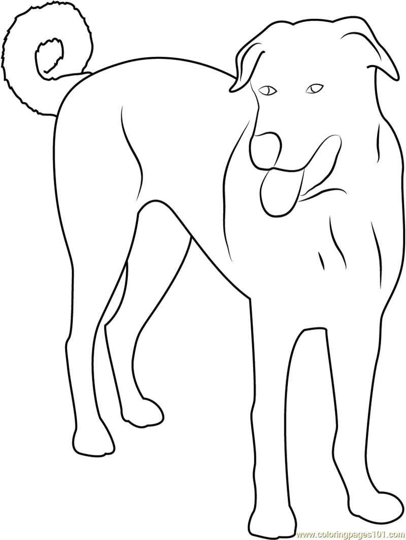 Anatolian Dog Coloring Page for Kids - Free Dog Printable Coloring ...