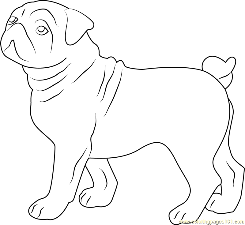 Cute Bull Dog Coloring Page for Kids - Free Dog Printable Coloring ...