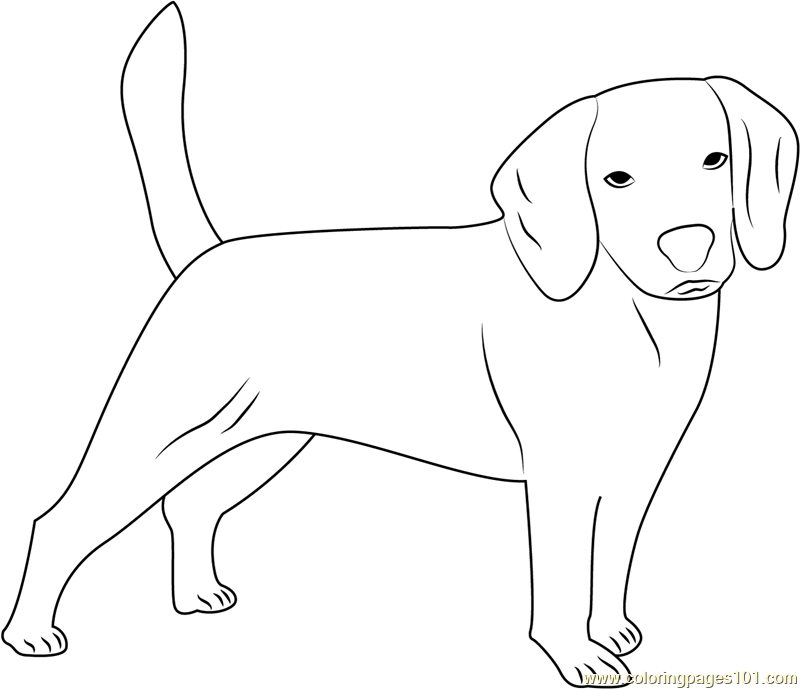 Dog Look Me Coloring Page for Kids - Free Dog Printable Coloring Pages ...