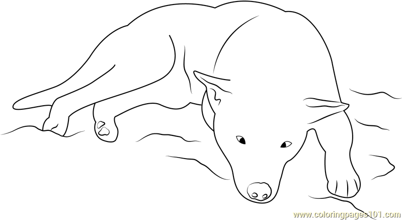 Dog Sleeping Coloring Page for Kids - Free Dog Printable Coloring Pages ...