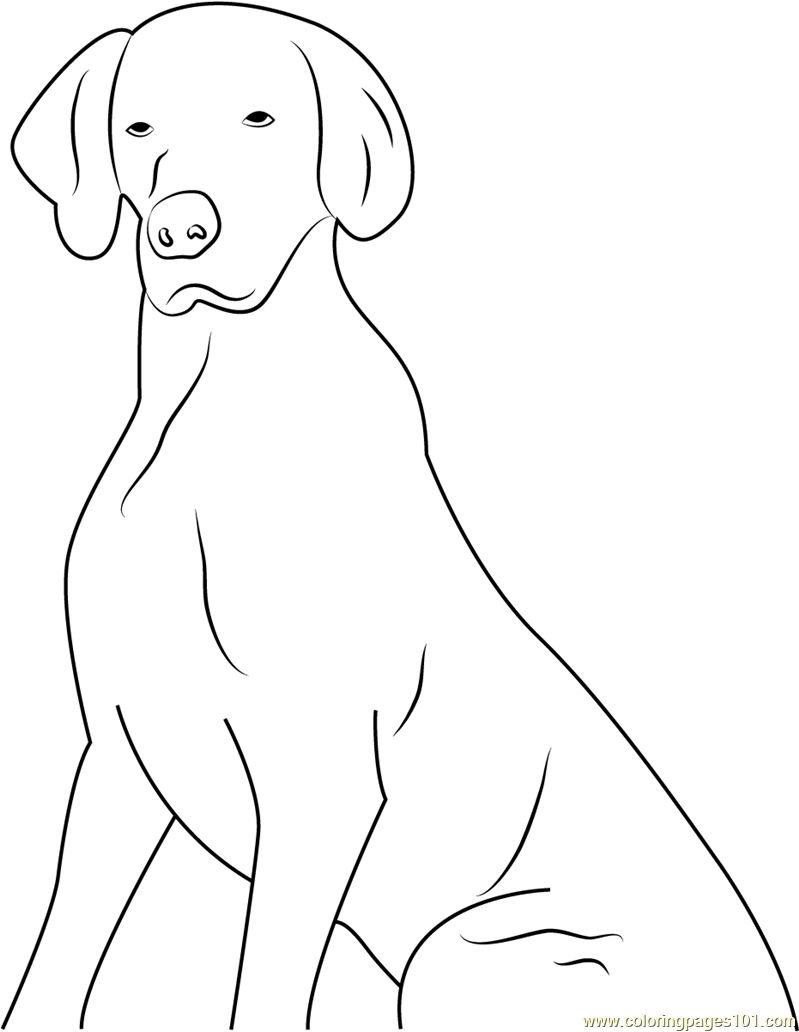 Dog Think Something Coloring Page for Kids - Free Dog Printable ...