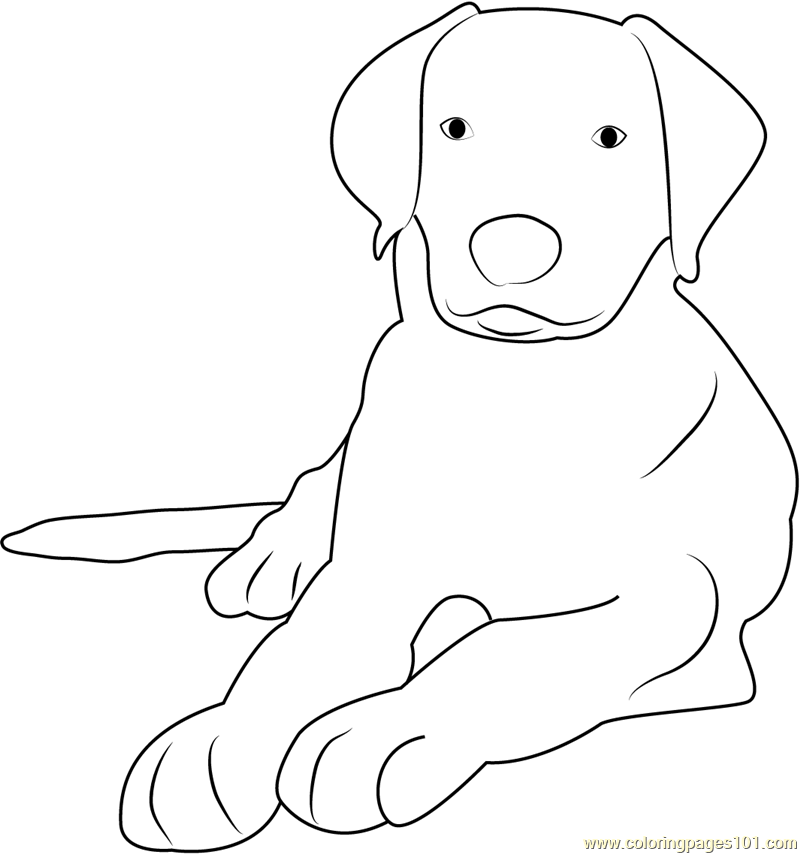 Tim Duncan Coloring Pages Coloring Pages