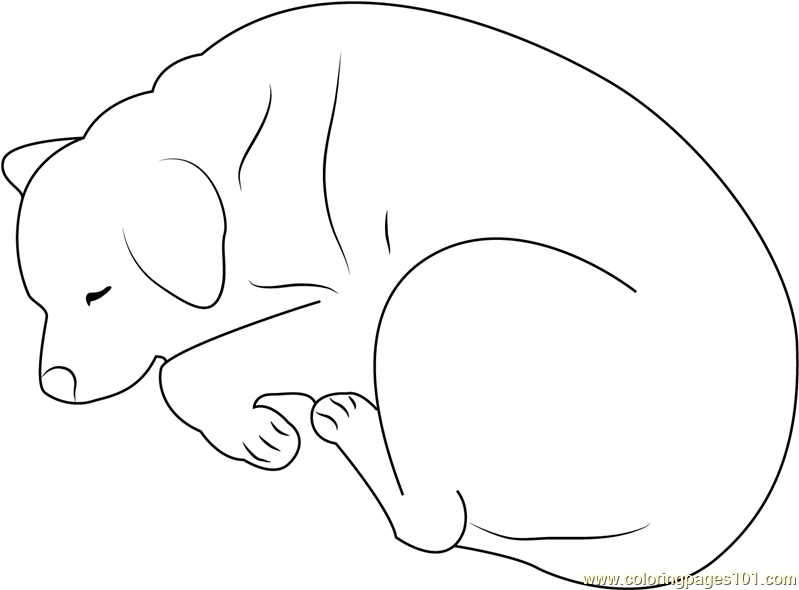 Jazz Sleeping Coloring Page for Kids - Free Dog Printable Coloring ...