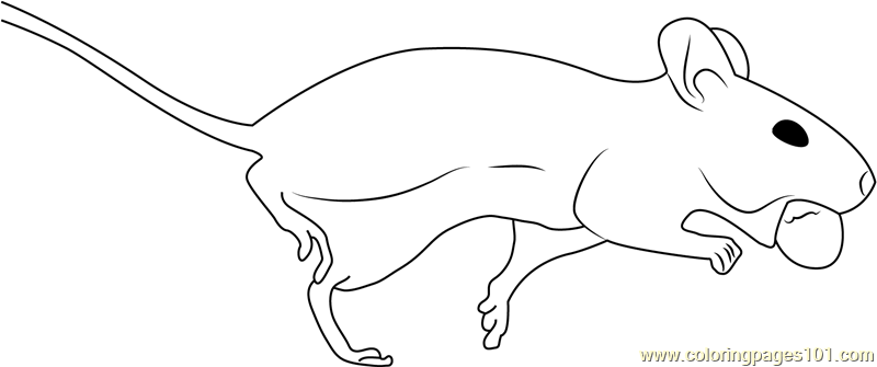 White Mouse Running Coloring Page for Kids - Free Mouse Printable ... White Mouse Running Coloring Page for Kids - Free Mouse Printable ...