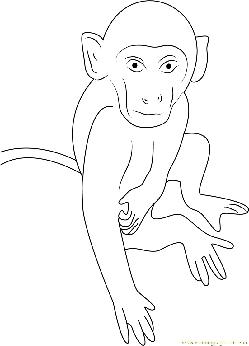 Monkey Close Up Coloring Page for Kids - Free Monkey Printable Coloring ...