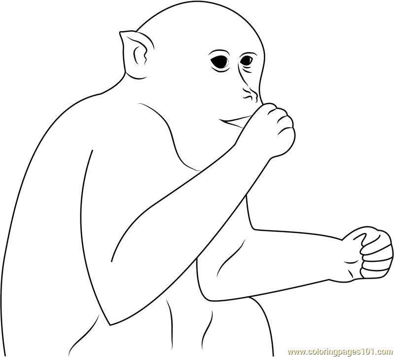 Monkey Eating Coloring Page for Kids - Free Monkey Printable Coloring ...