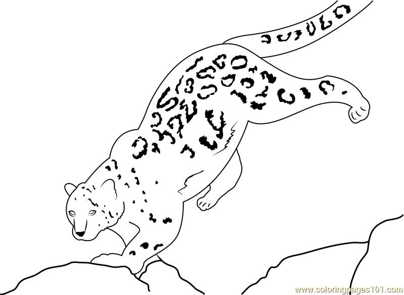 Snow Coloring Page for Kids - Free Snow Leopard Printable Coloring ...