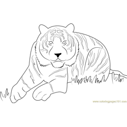 Tiger Coloring Pages for Kids Printable Free Download ...