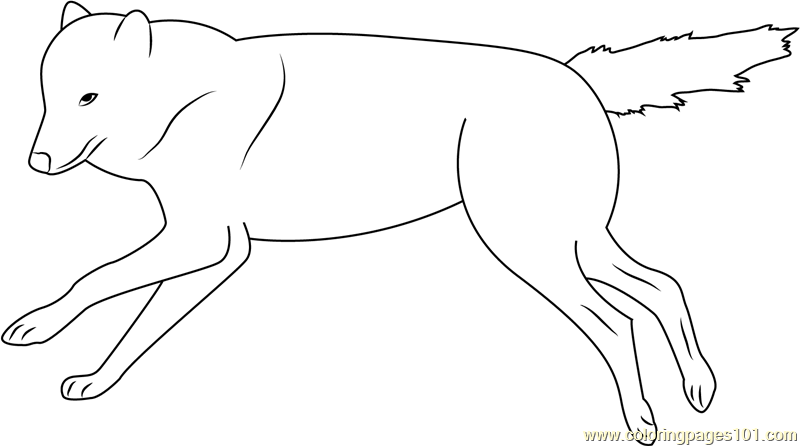 Wolf Running on the Pond Coloring Page for Kids - Free Wolf Printable ...