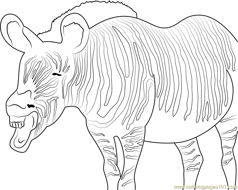 Grévy's zebra Coloring Page for Kids - Free Zebra Printable Coloring ...