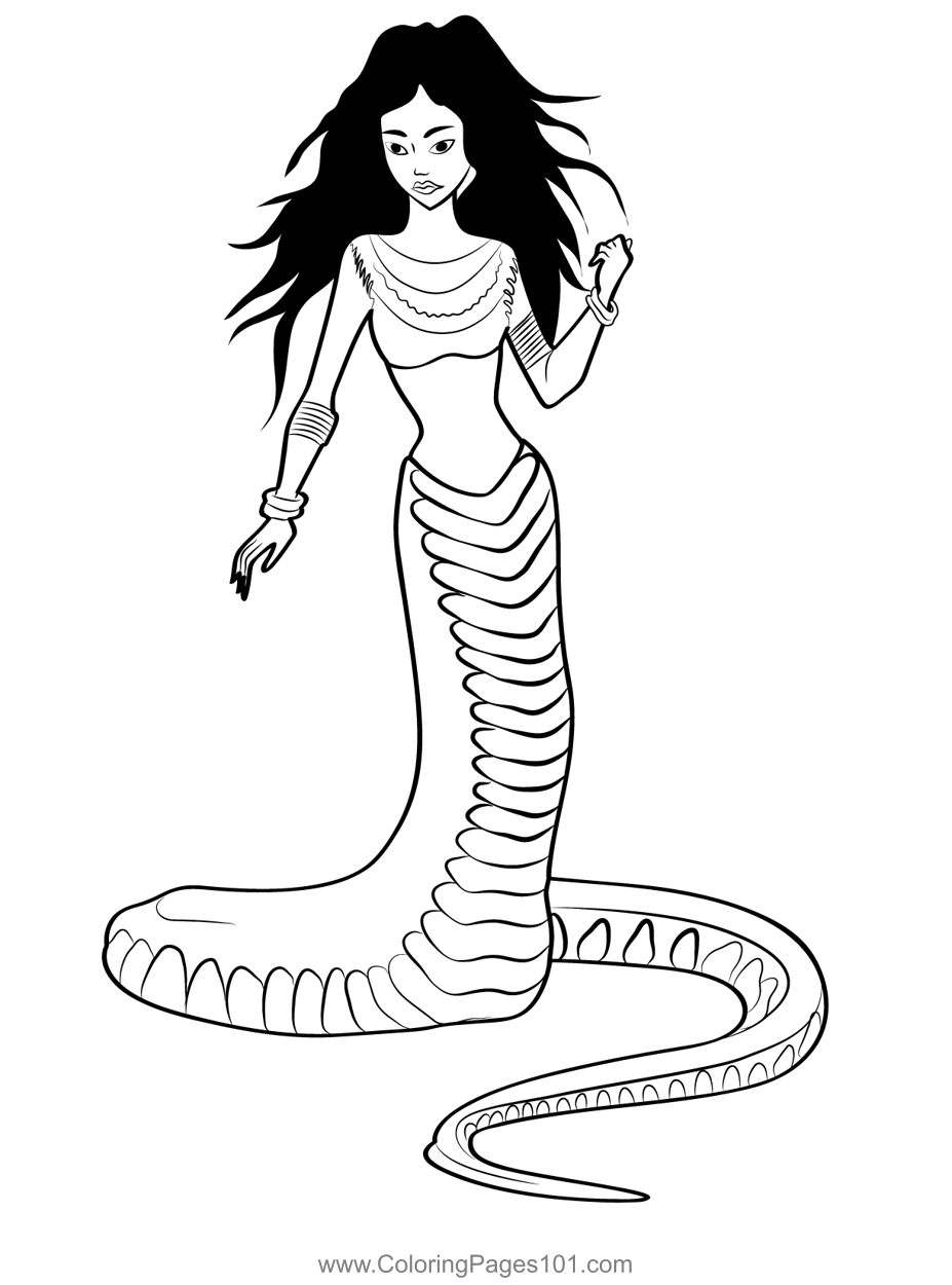 Echidna 2 Coloring Page for Kids - Free Echidnas Printable Coloring ...