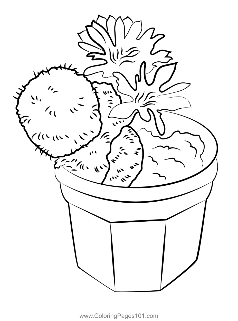 Cactus Plant Coloring Page for Kids - Free Cactus Printable Coloring ...