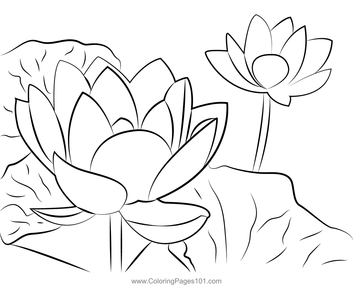 Lotus Leaf Coloring Page for Kids - Free Leaves Printable Coloring ...
