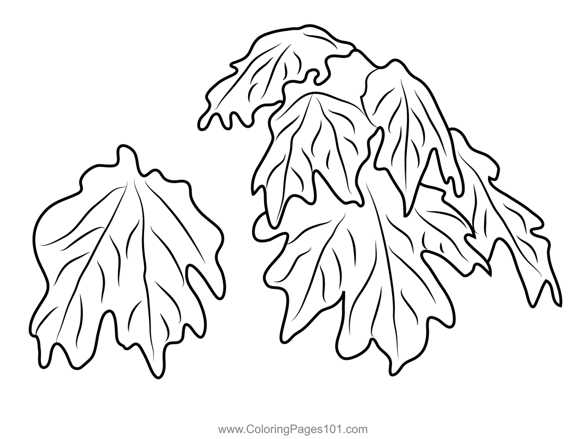 Maple Leaf In Autumn Coloring Page for Kids - Free Leaves Printable ...