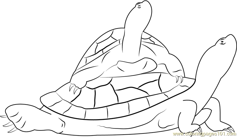 Red Eared Sliders Turtle Coloring Page for Kids - Free Turtles ...