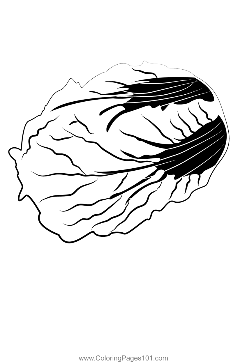 Cabbage 3 Coloring Page for Kids - Free Cabbage Printable Coloring ...