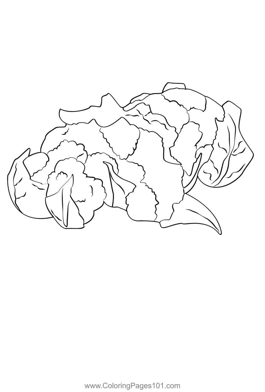 Cauliflower 1 Coloring Page for Kids - Free Cauliflowers Printable ...